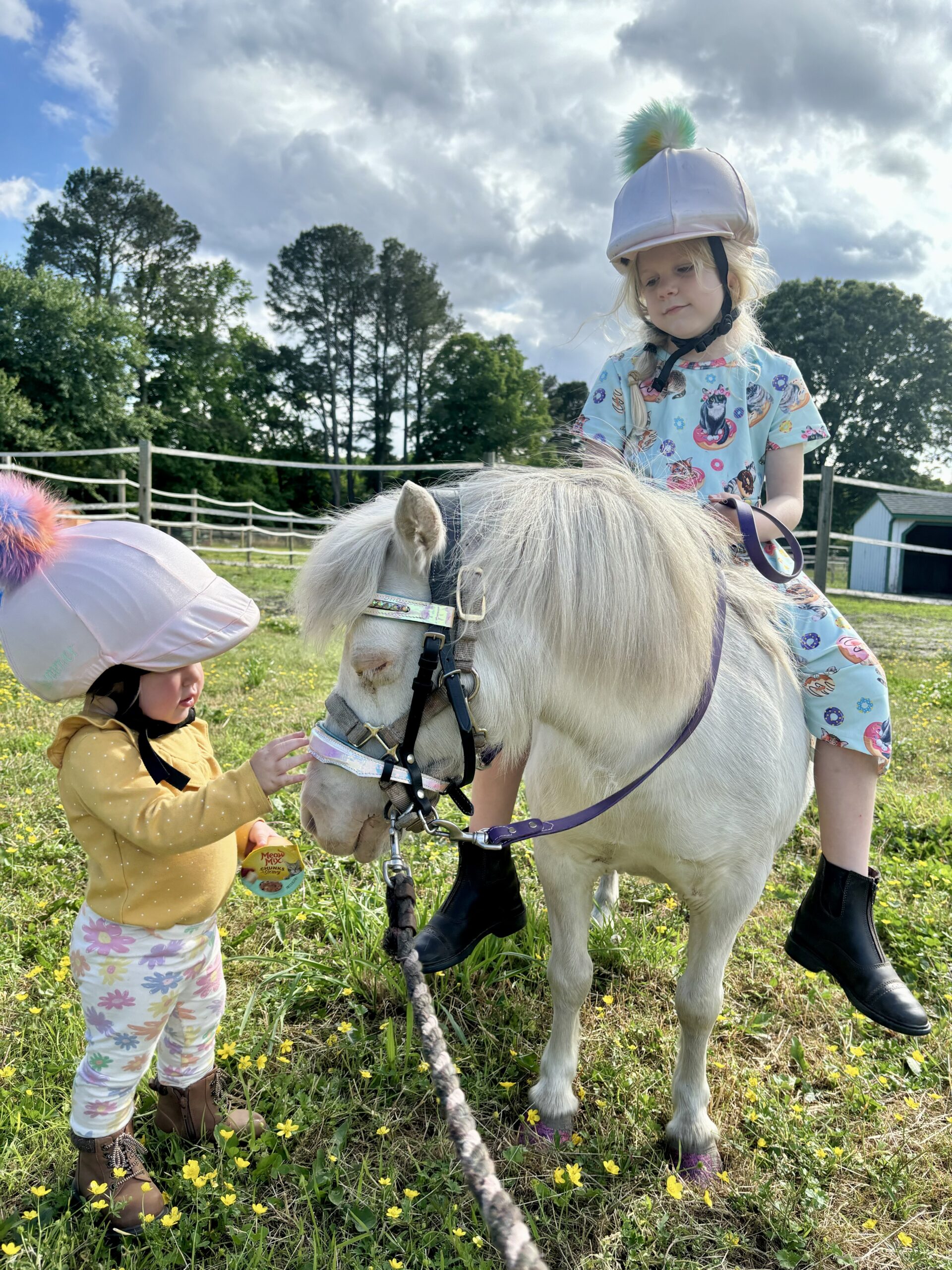 Crickhollow Farm MD - A unique farming endeavor